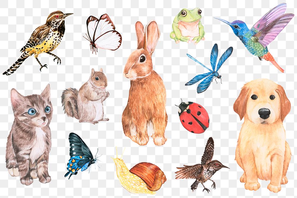 Animals elements in watercolor png | Premium PNG - rawpixel