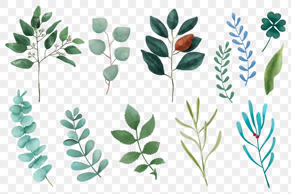 Green leaves sticker png watercolor | Premium PNG - rawpixel