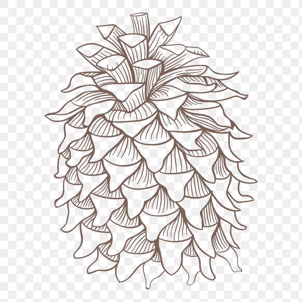 Coulter pine cone sticker design | Free PNG Sticker - rawpixel