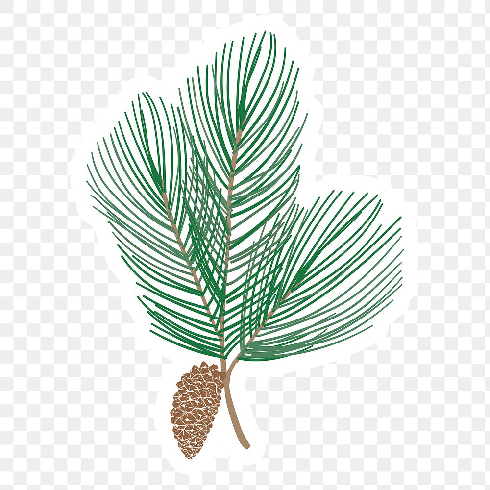 Cute pine tree branch sticker | Free PNG Sticker - rawpixel