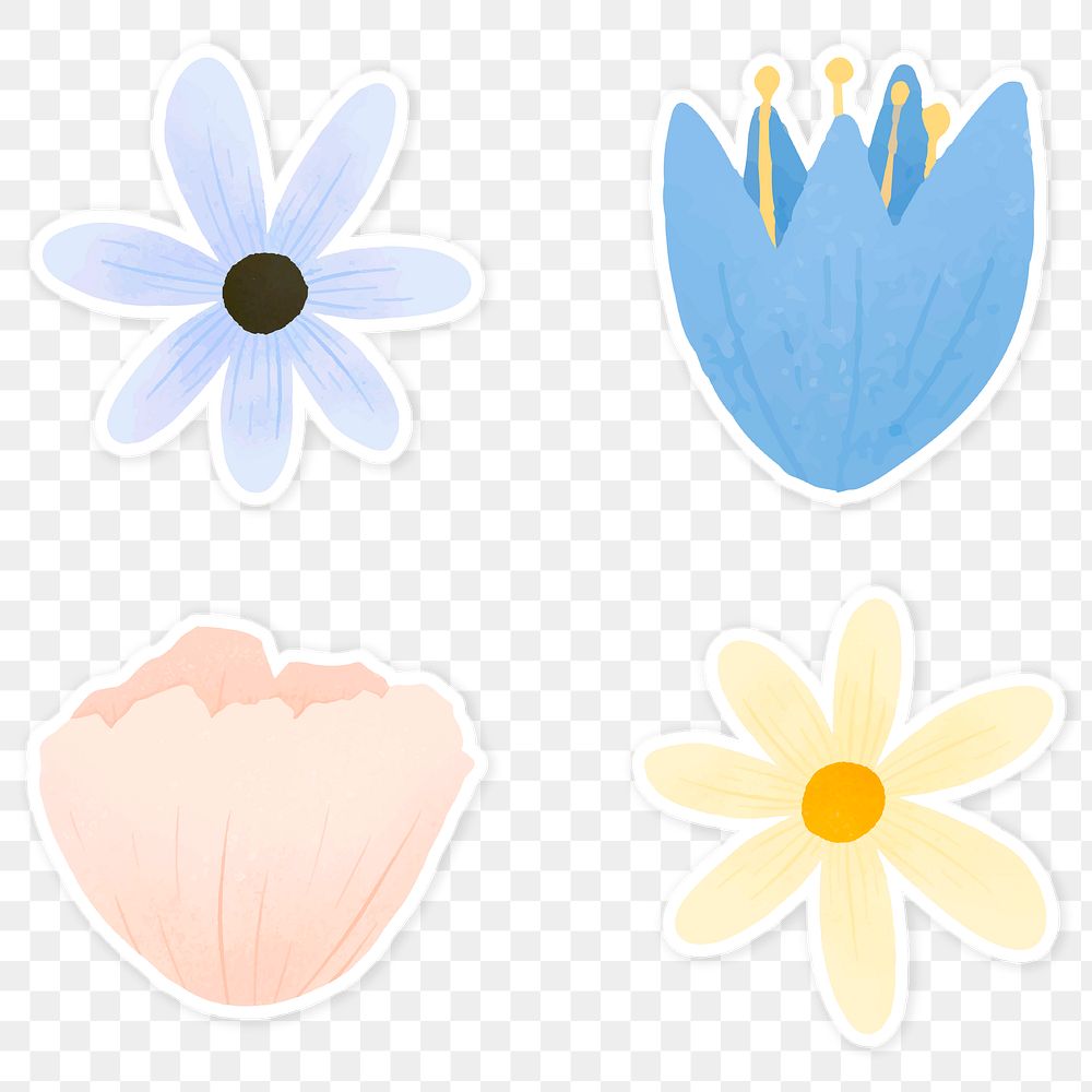 Colorful floral sticker collection transparent | Premium PNG - rawpixel