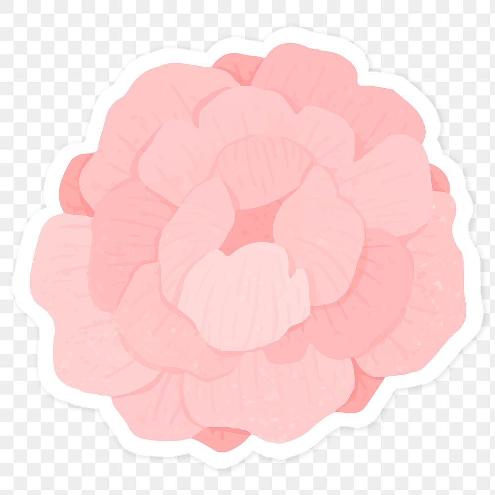 Pink hydrangea flower sticker transparent | Free PNG Sticker - rawpixel