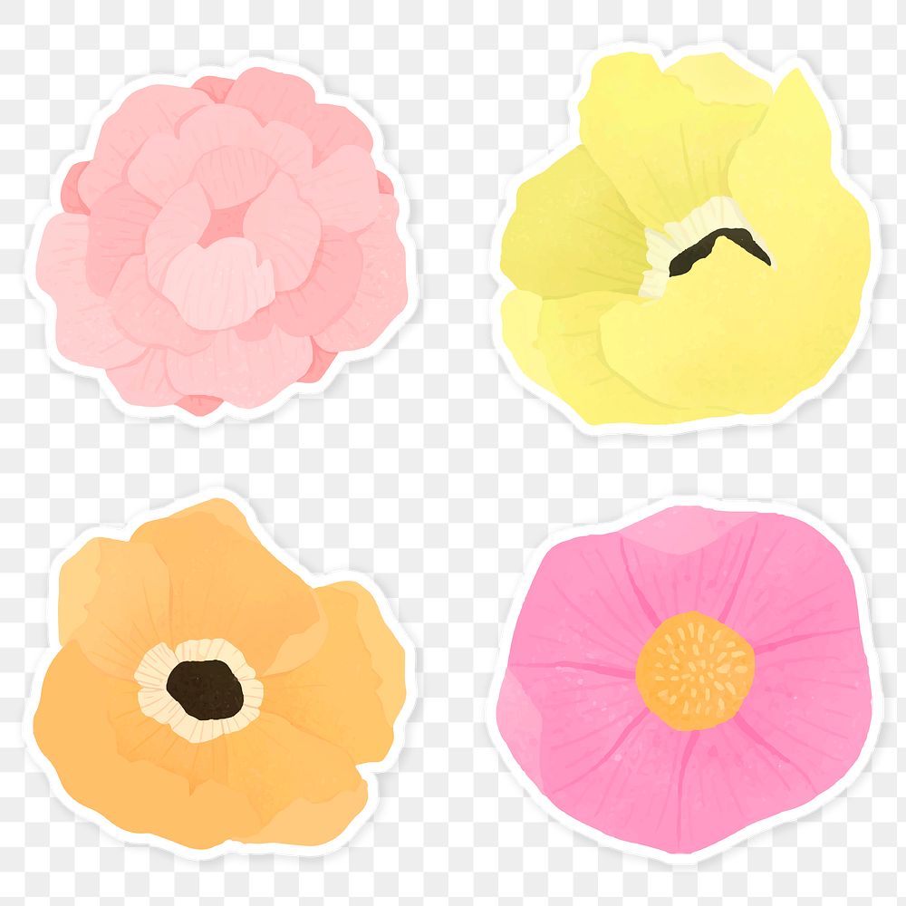 Colorful floral sticker set transparent | Free PNG - rawpixel