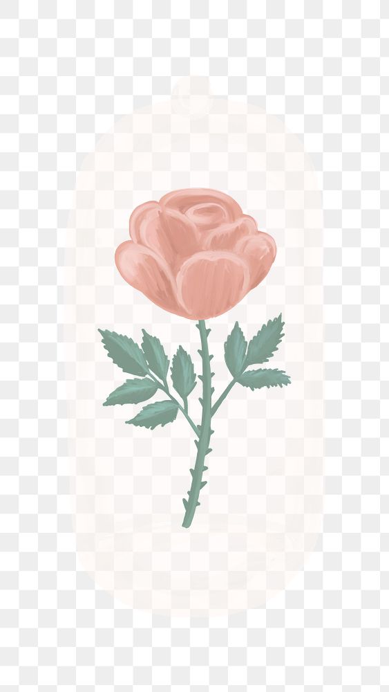 Hand drawn rose element transparent | Free PNG - rawpixel