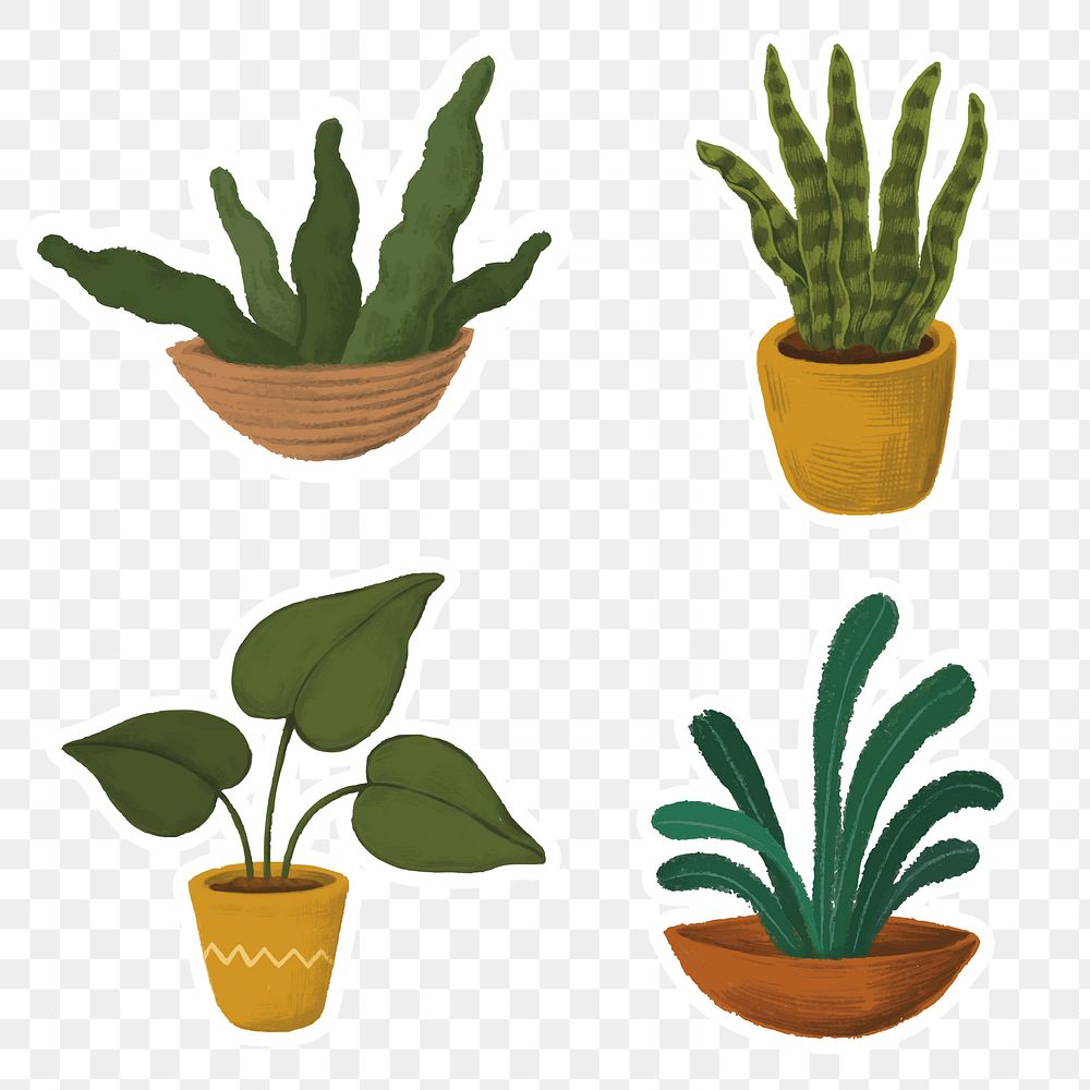 Indoor plants sticker collection | Free PNG - rawpixel Indoor plants sticker collection | Free PNG - rawpixel