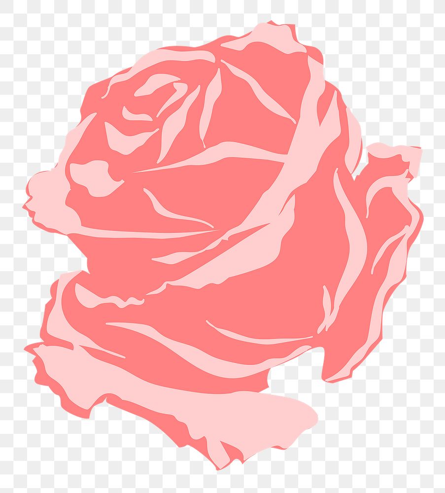Pink rose png spring floral | Premium PNG Sticker - rawpixel