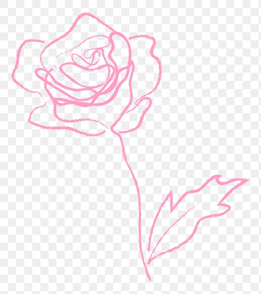 Pink rose png spring floral | Free PNG Sticker - rawpixel