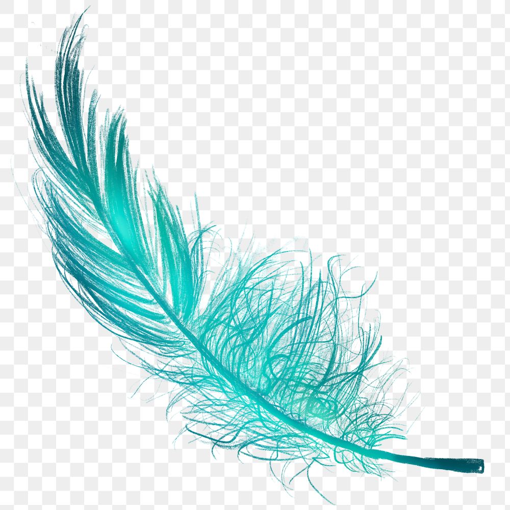 Png green feather design element | Free PNG Sticker - rawpixel