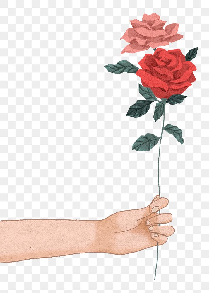 Valentine’s rose giving png romantic | Premium PNG Sticker - rawpixel