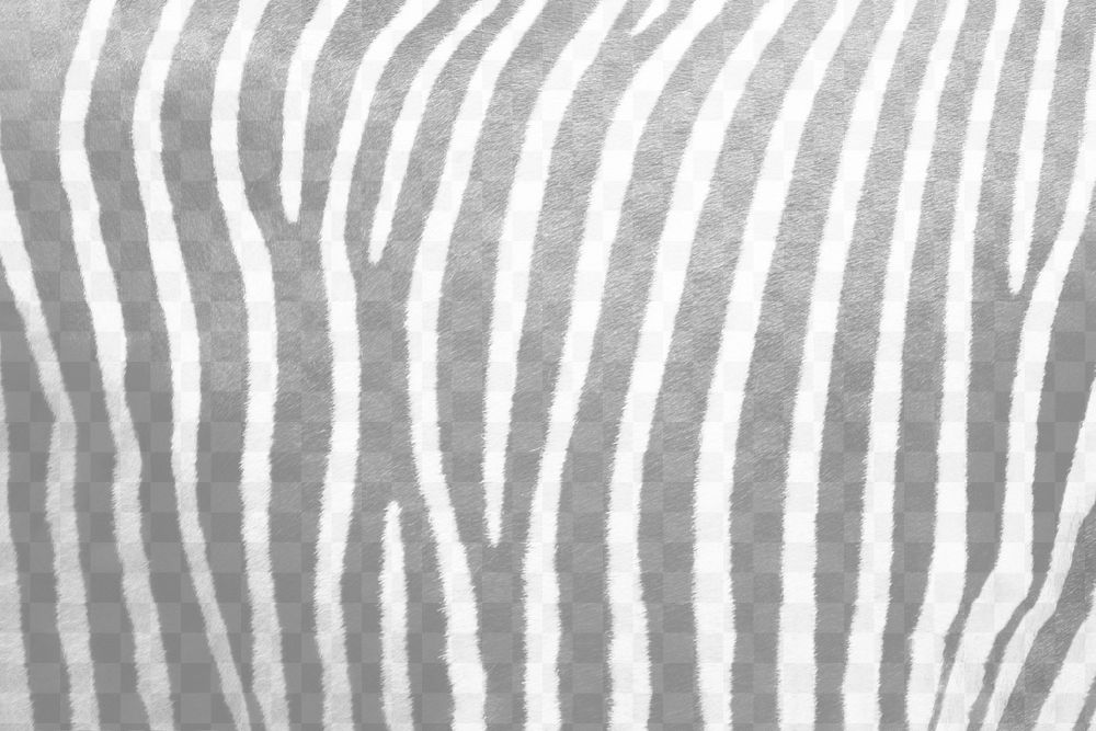 Zebra pattern png overlay, abstract | Free PNG - rawpixel