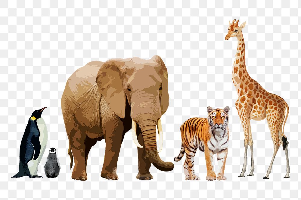 Zoo animal png border, transparent | Premium PNG - rawpixel
