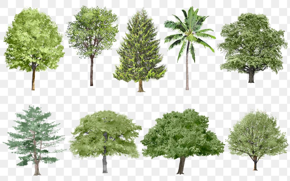 Png tree stickers, watercolor illustration | Premium PNG - rawpixel