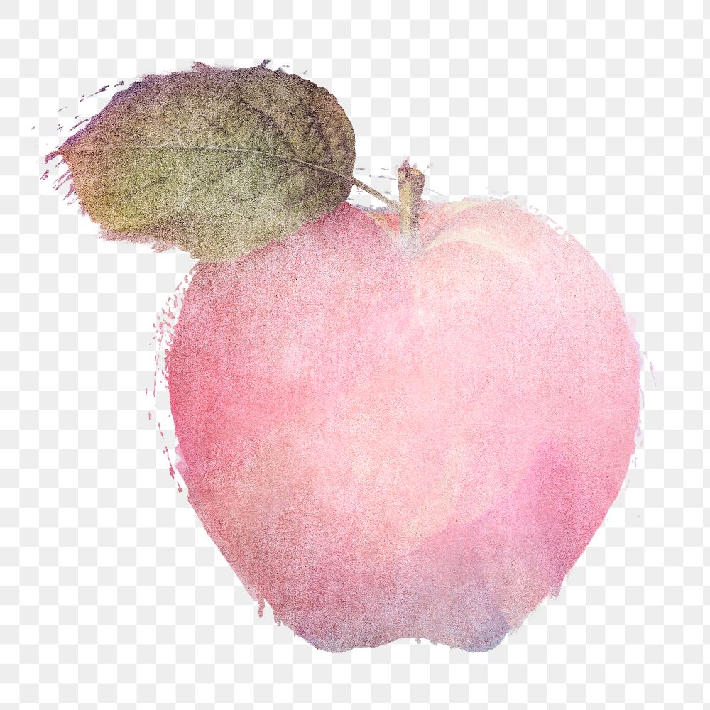 Pink apple watercolor illustration design | Free PNG Sticker - rawpixel