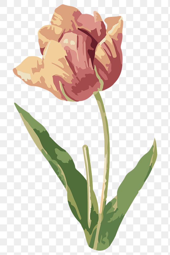 Vectorized tulip flower sticker overlay | Free PNG Sticker - rawpixel
