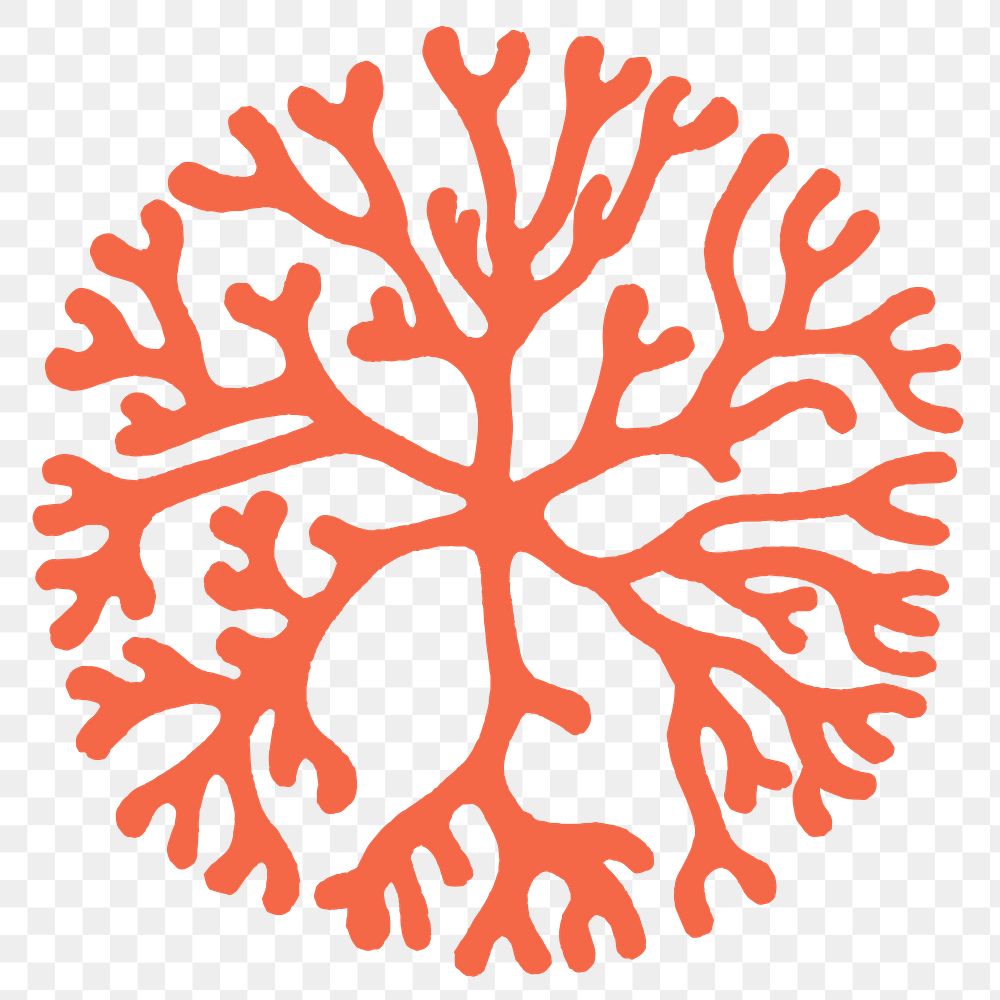Coral minimal icon png illustration | Free PNG Sticker - rawpixel