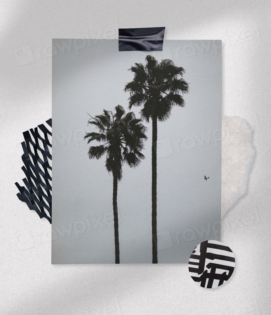 Palm tree card mockup, editable | Free Moodboard Maker - rawpixel