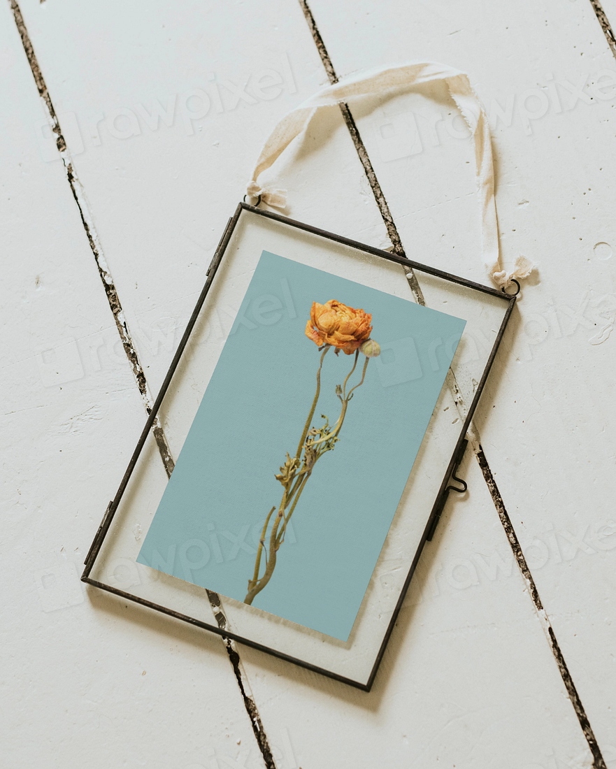 Transparent frame mockup, aesthetic decor | Premium Mockup Generator ...