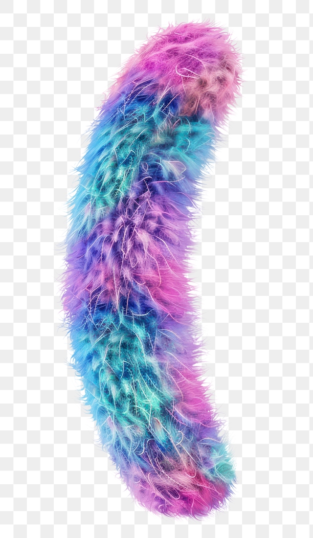 Parentheses png 3D, transparent background | Free PNG - rawpixel