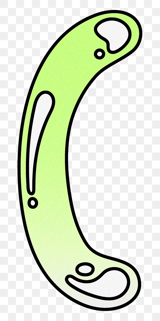 Parentheses sign png gradient green | Free PNG - rawpixel