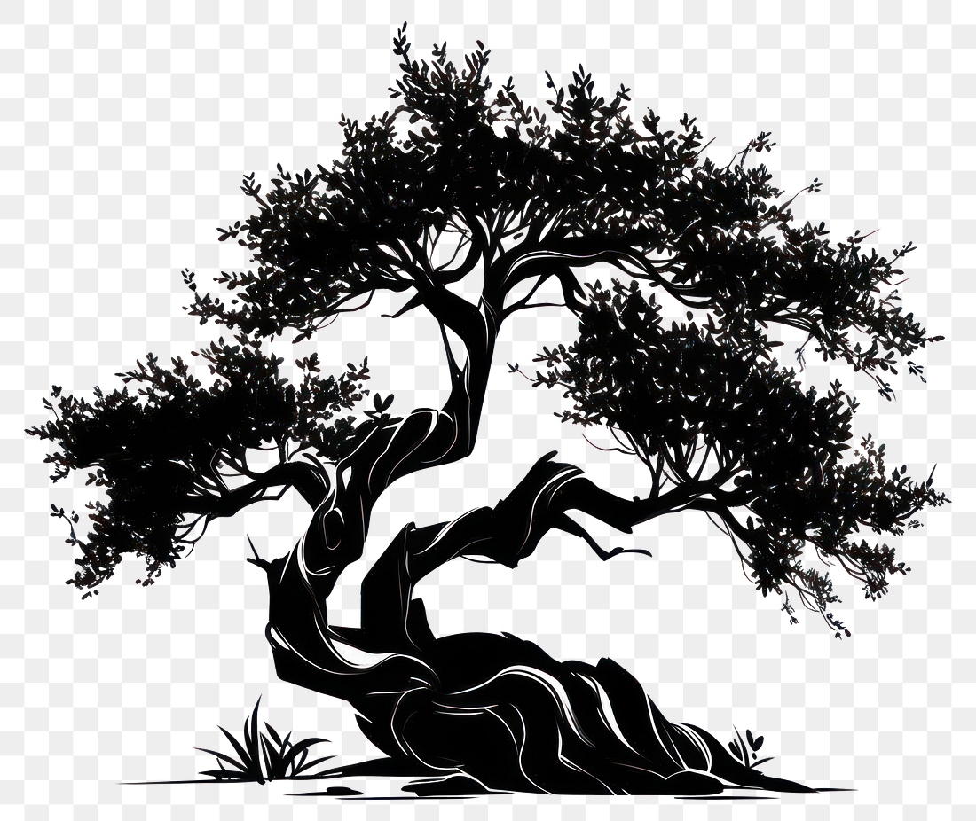 PNG Paperbark Tree tree illustrated | Premium PNG - rawpixel