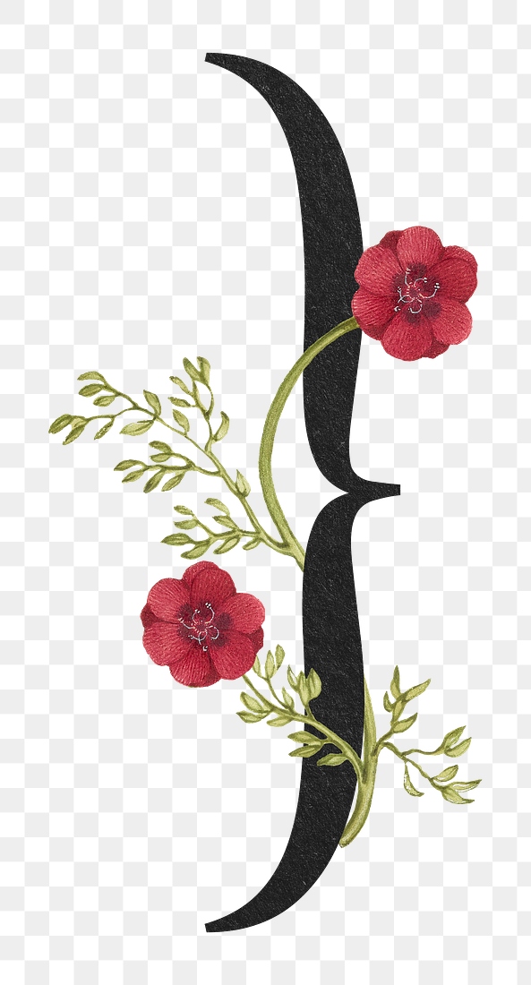 Curly bracket sign png botanical | Premium PNG - rawpixel