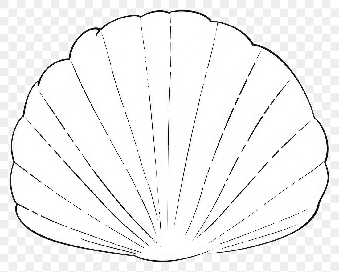 PNG Shell sketch clam line. | Free PNG - rawpixel