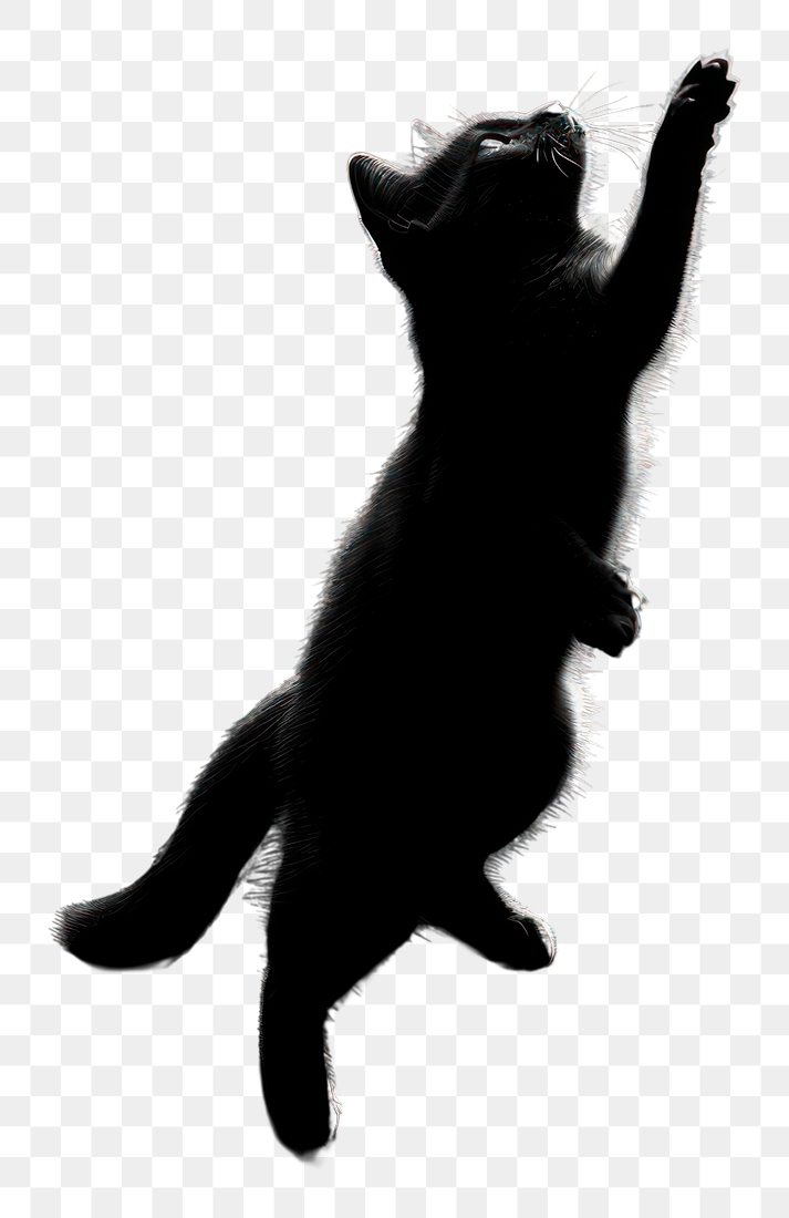 PNG Photography cat jumping moon | Premium PNG - rawpixel