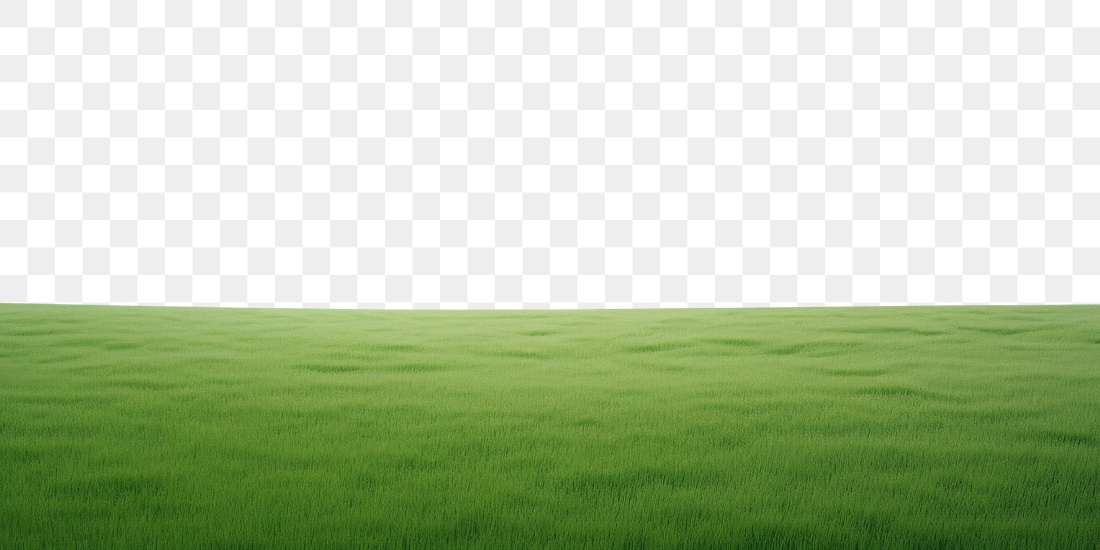 PNG green grass field outdoors | Premium PNG - rawpixel