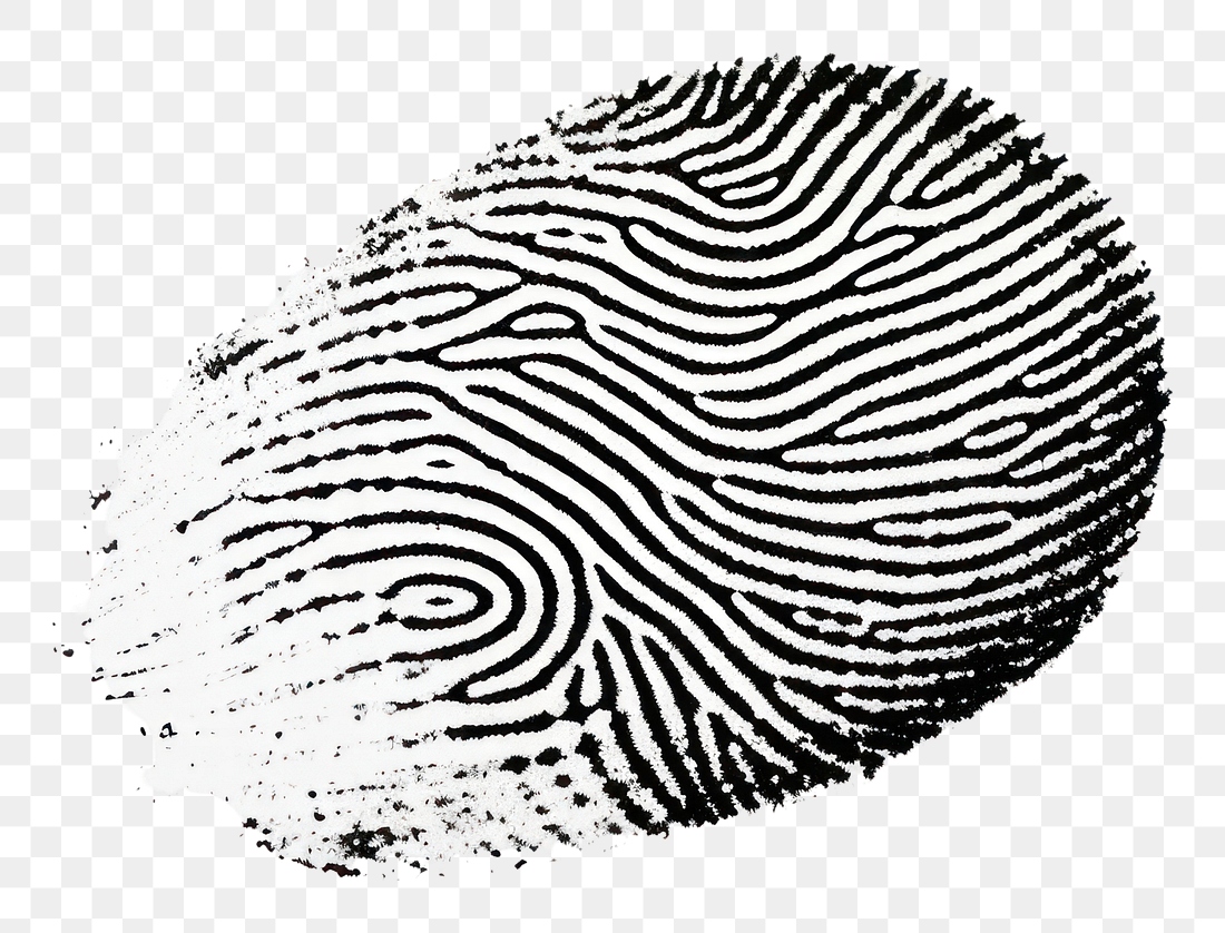 PNG Fingerprint concentric monochrome pattern. | Free PNG - rawpixel