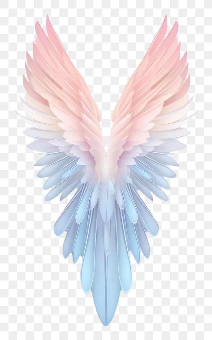 PNG Angel wing petal bird | Free PNG - rawpixel