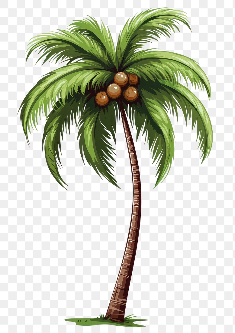 PNG Palm tree vector illustration | Free PNG - rawpixel