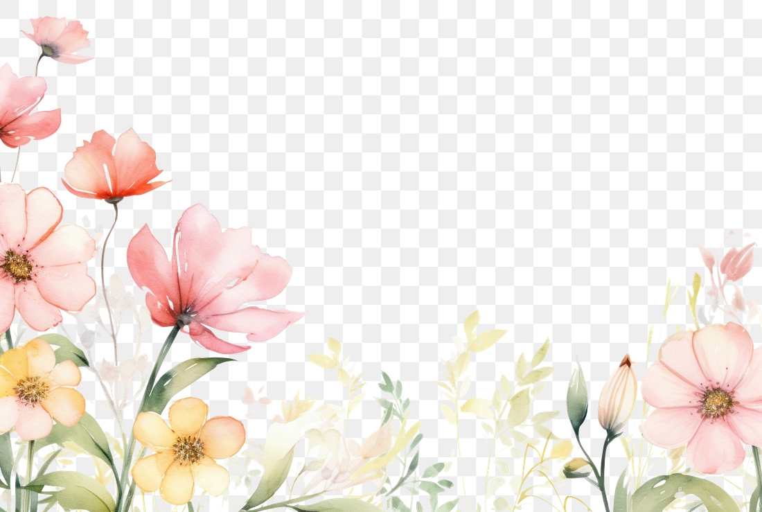 PNG Spring and summer flower | Free PNG - rawpixel