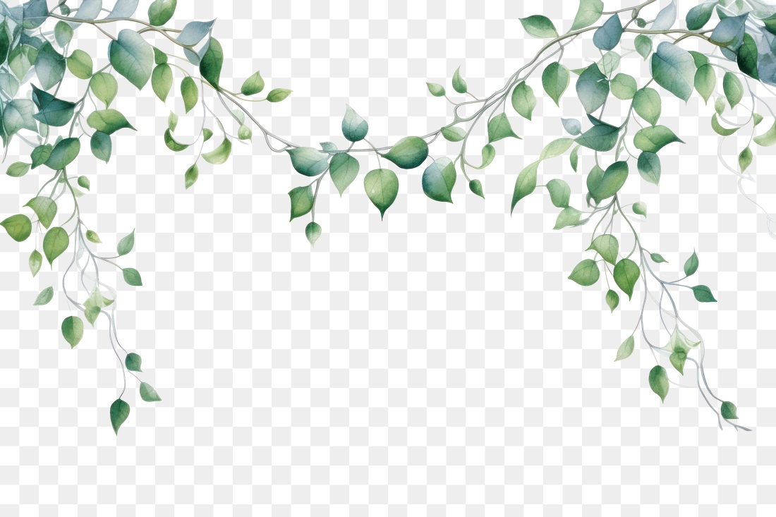 PNG Pattern plant leaf backgrounds | Free PNG - rawpixel