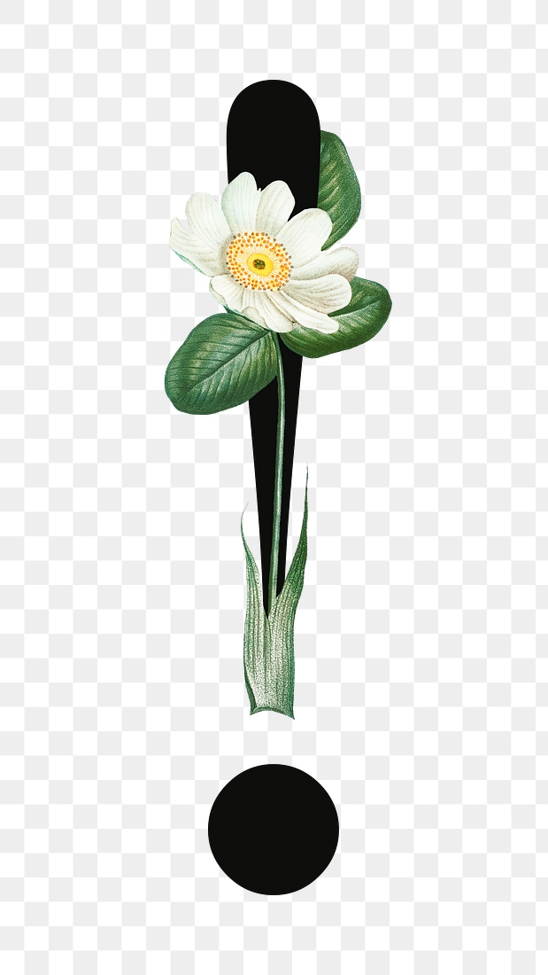 Floral exclamation mark png digital | Free PNG - rawpixel