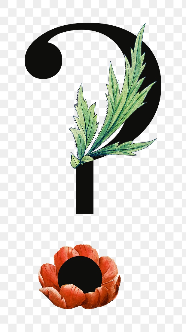 Floral question mark png digital | Premium PNG - rawpixel