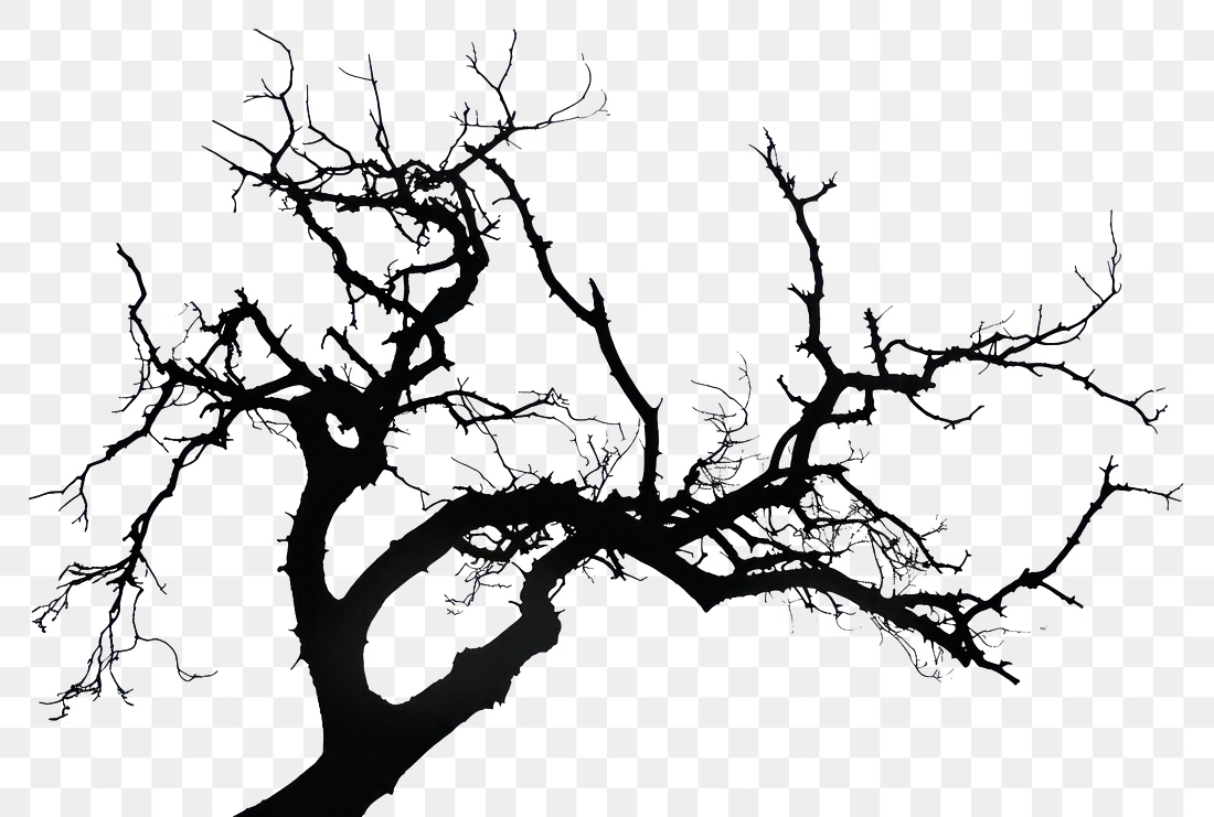 PNG Dead tree silhouette clip | Premium PNG - rawpixel