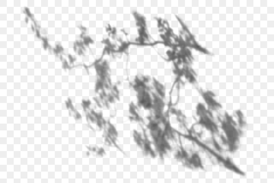 Tree branch png shadow effect, | Free PNG - rawpixel