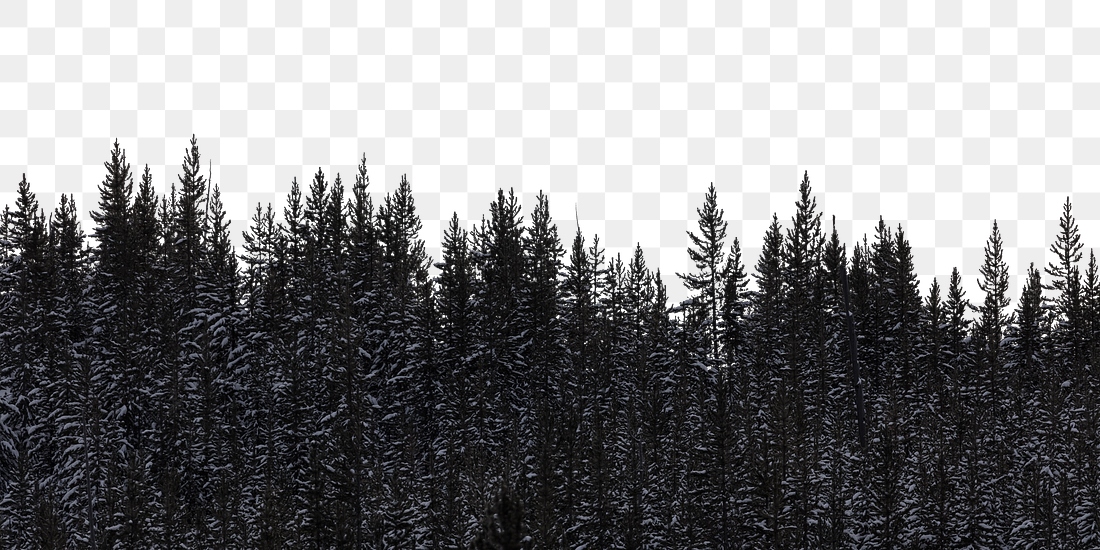 Forest png border, transparent background | Free PNG - rawpixel