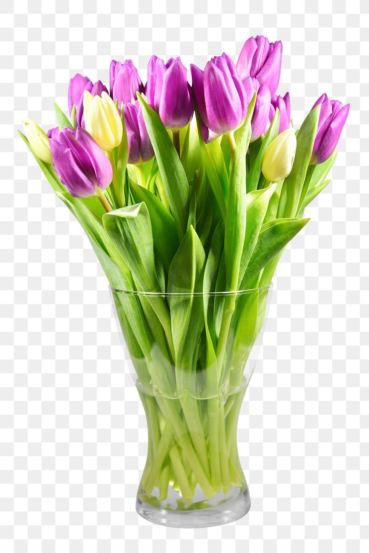 Tulip flower png vase sticker, | Free PNG - rawpixel