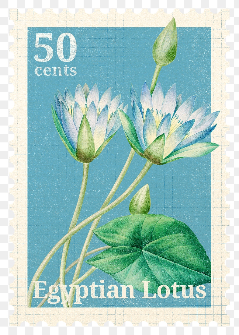 PNG lotus postage stamp, flower | Premium PNG - rawpixel