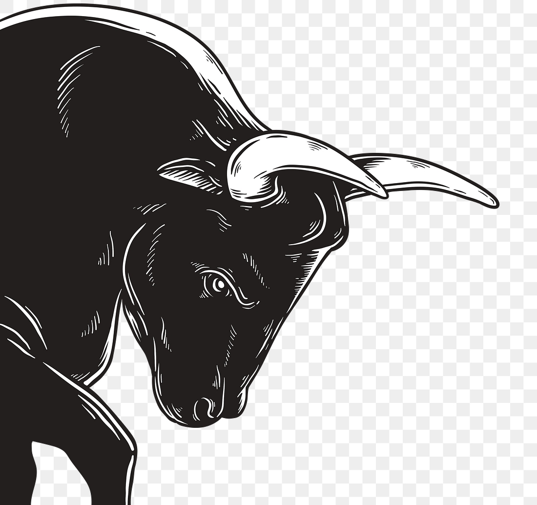 Bull png sticker, animal transparent | Premium PNG - rawpixel