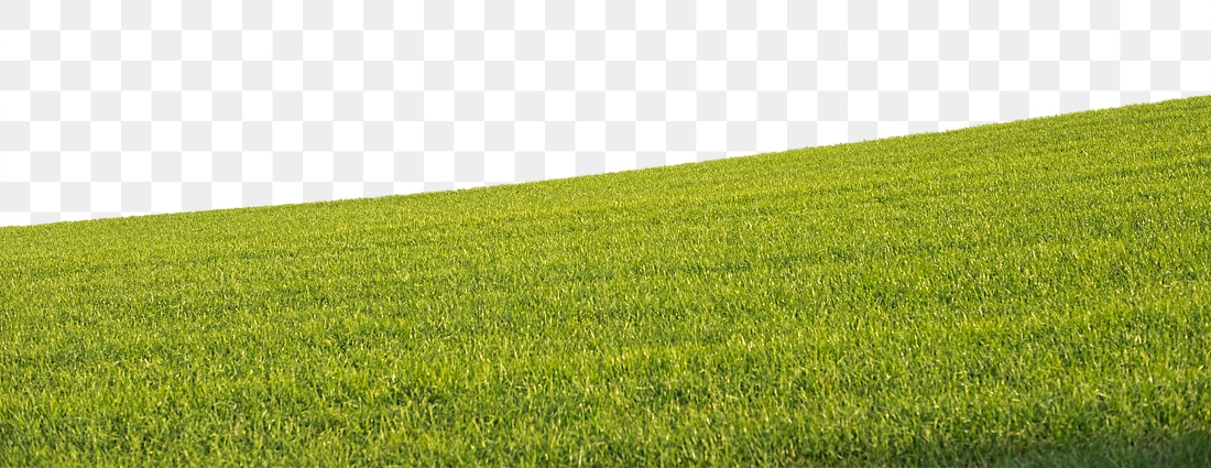 Green grass field png border, | Free PNG - rawpixel