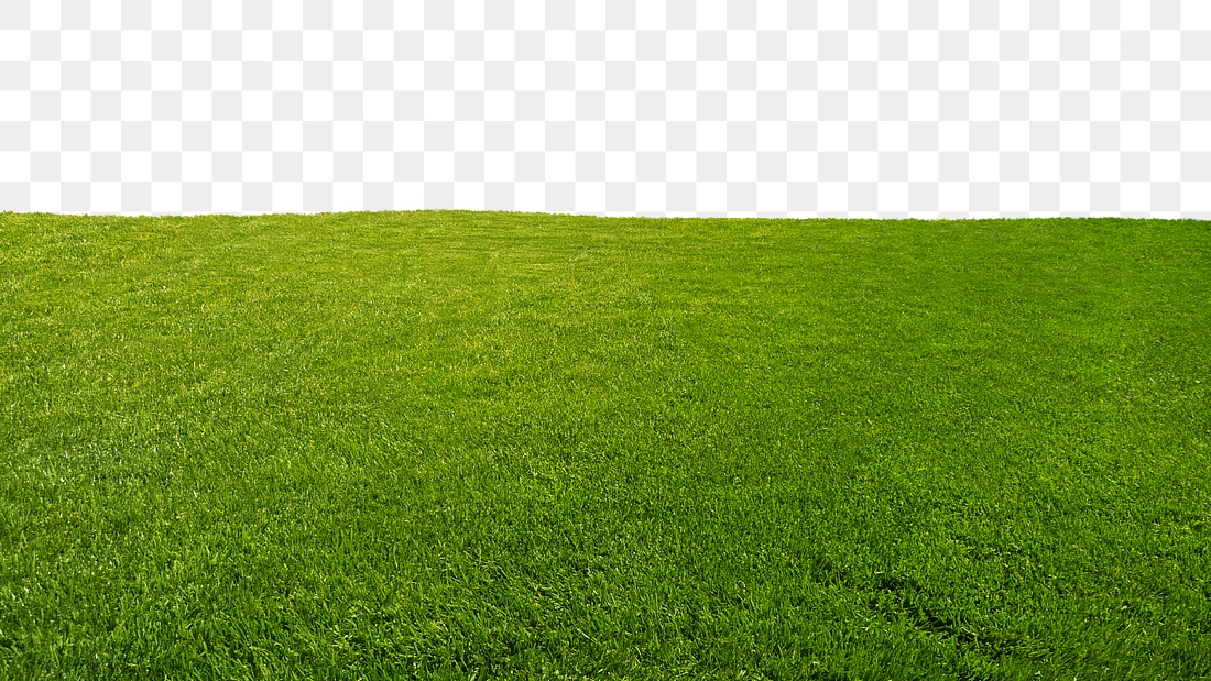 Grass field png border sticker | Free PNG - rawpixel