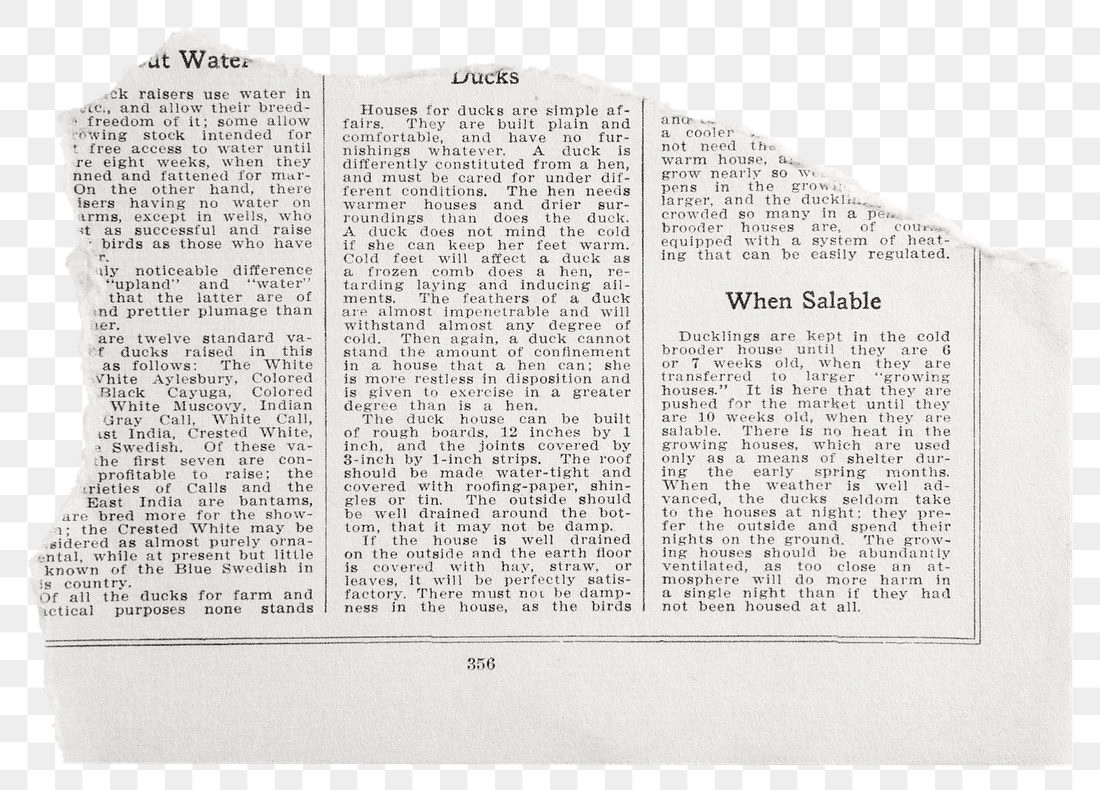 Ripped newspaper png sticker, vintage | Premium PNG - rawpixel