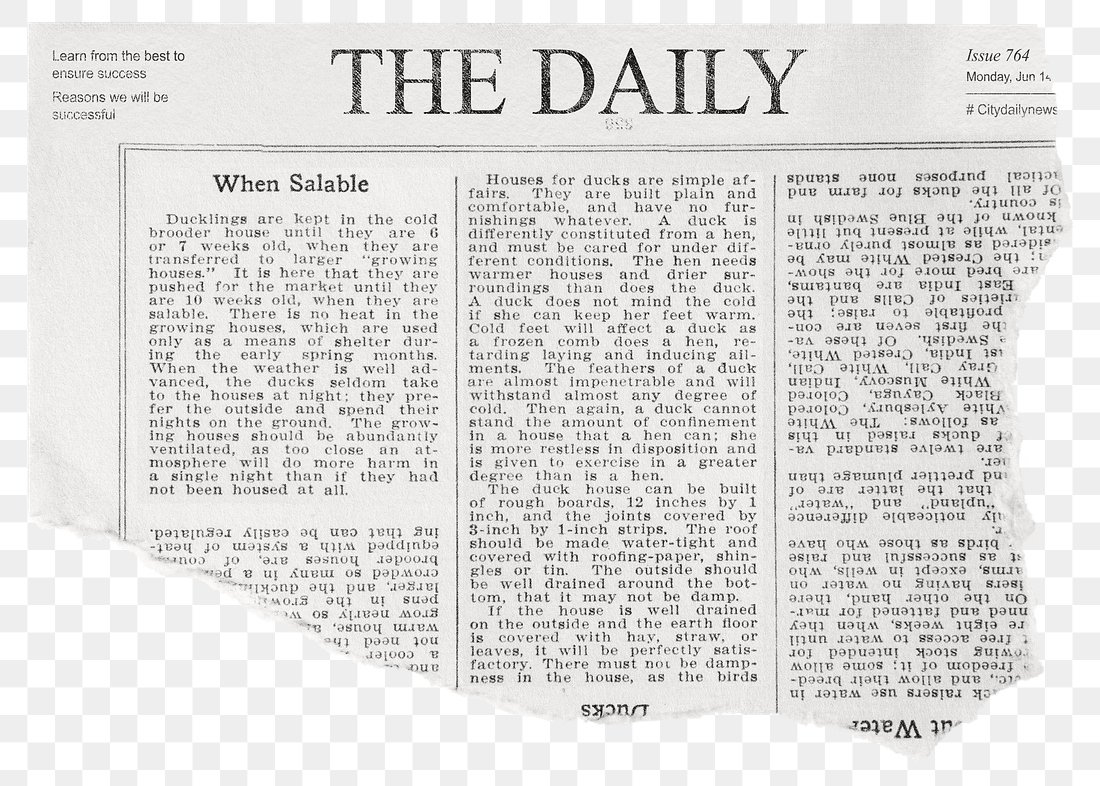 Ripped newspaper png sticker, vintage | Premium PNG - rawpixel