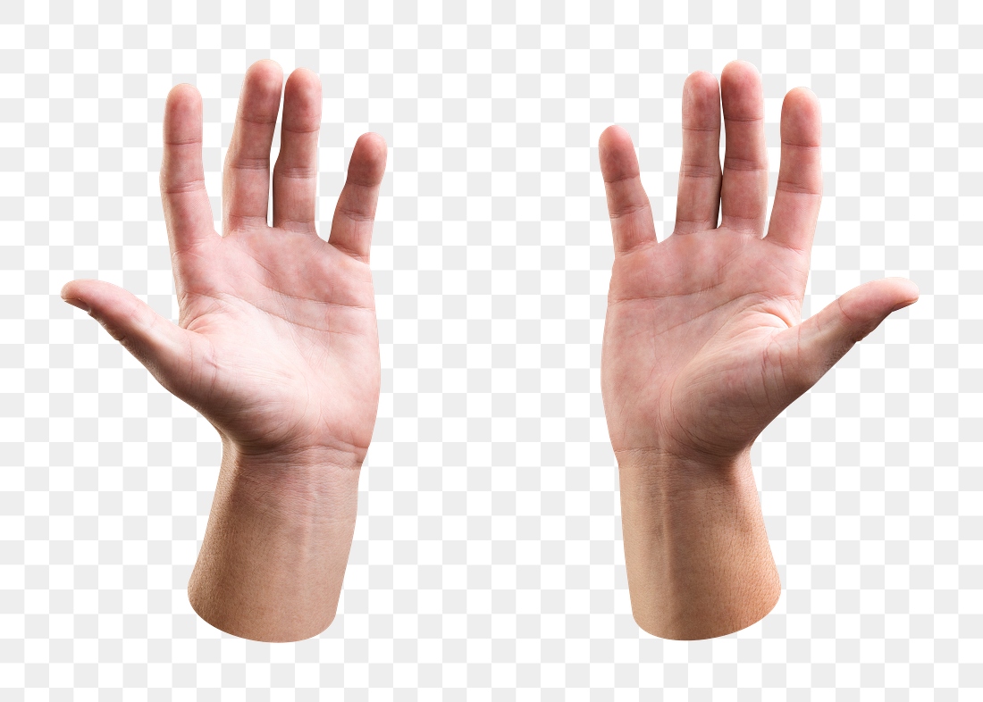 Two hands png sticker, transparent | Premium PNG - rawpixel