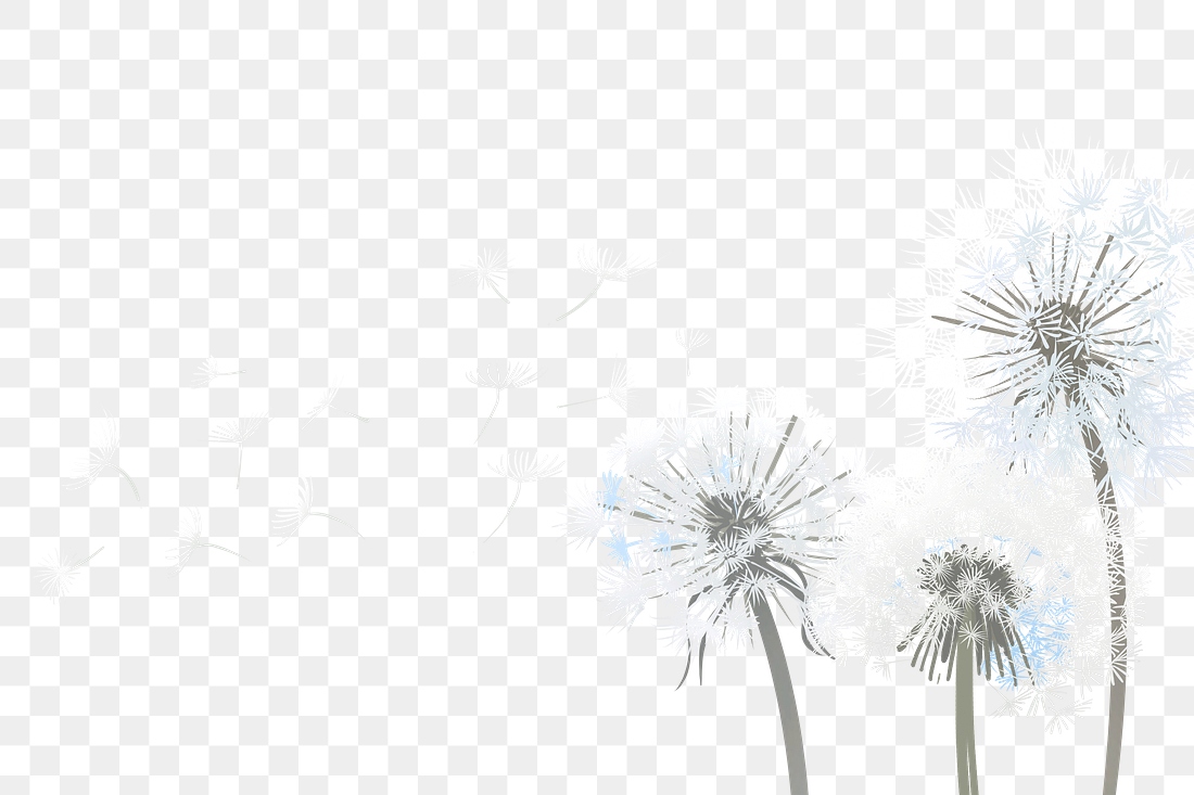 Dandelions flower png border, transparent | Premium PNG - rawpixel