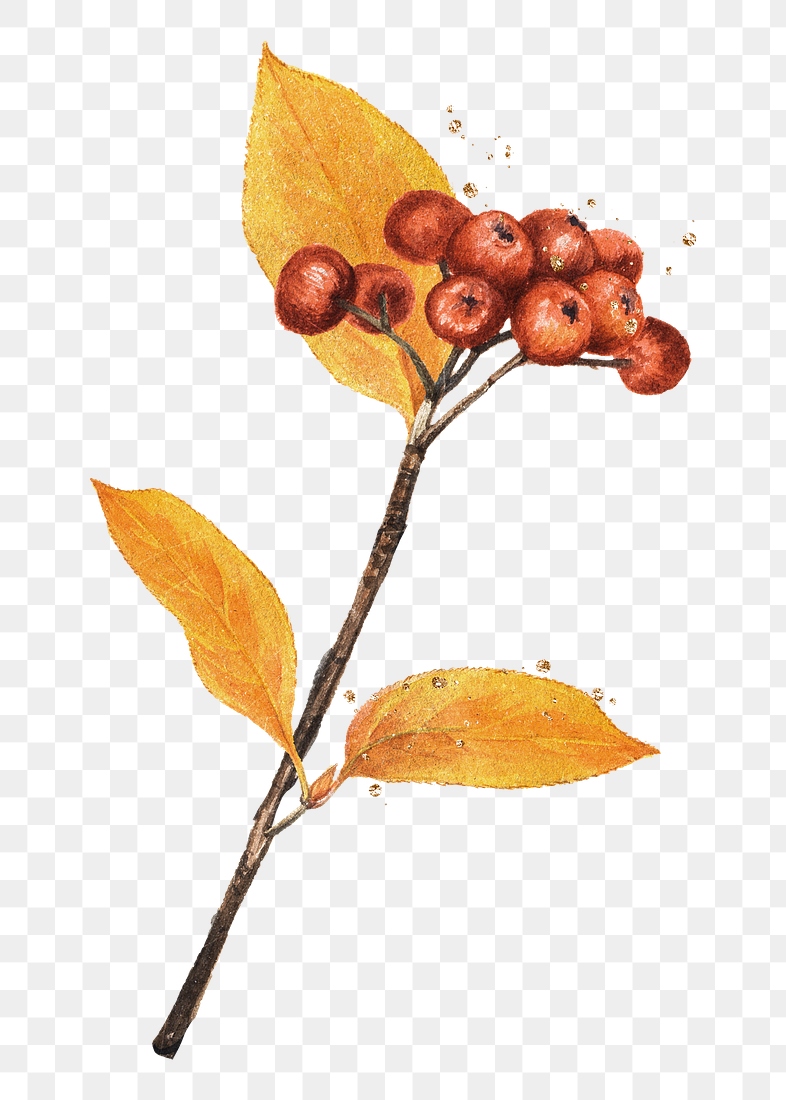 png sticker, transparent background | Premium PNG - rawpixel