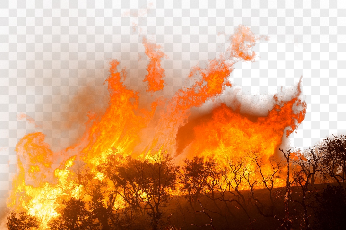 Forest fire png border, transparent | Free PNG - rawpixel