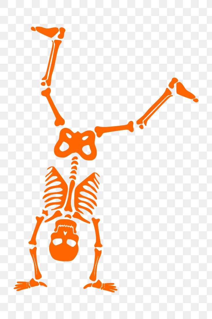 Skeleton png clipart illustration, transparent | Free PNG - rawpixel